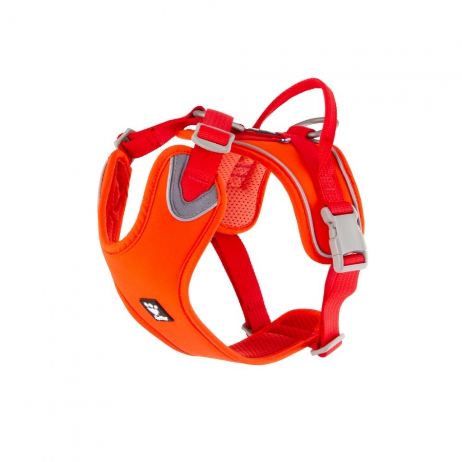 Sportovní postroj pro psa na běhání | MAJA Petshop